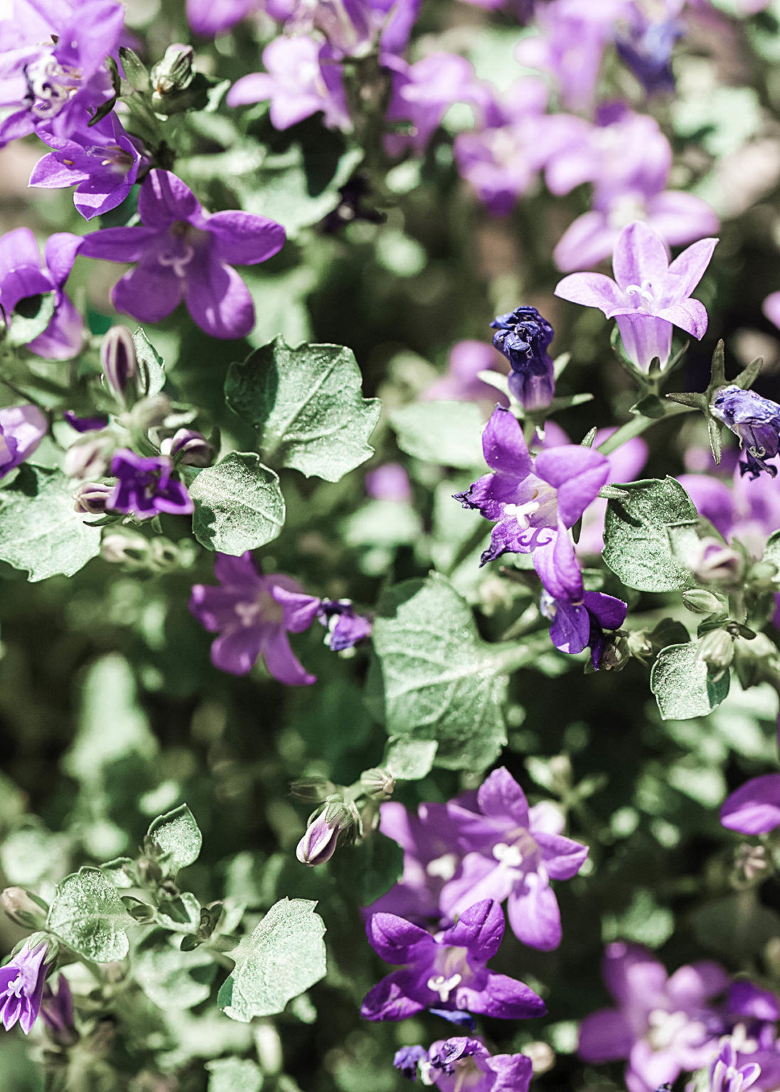 The Small Things Blog – Beauty, Fashion, Lifestyle