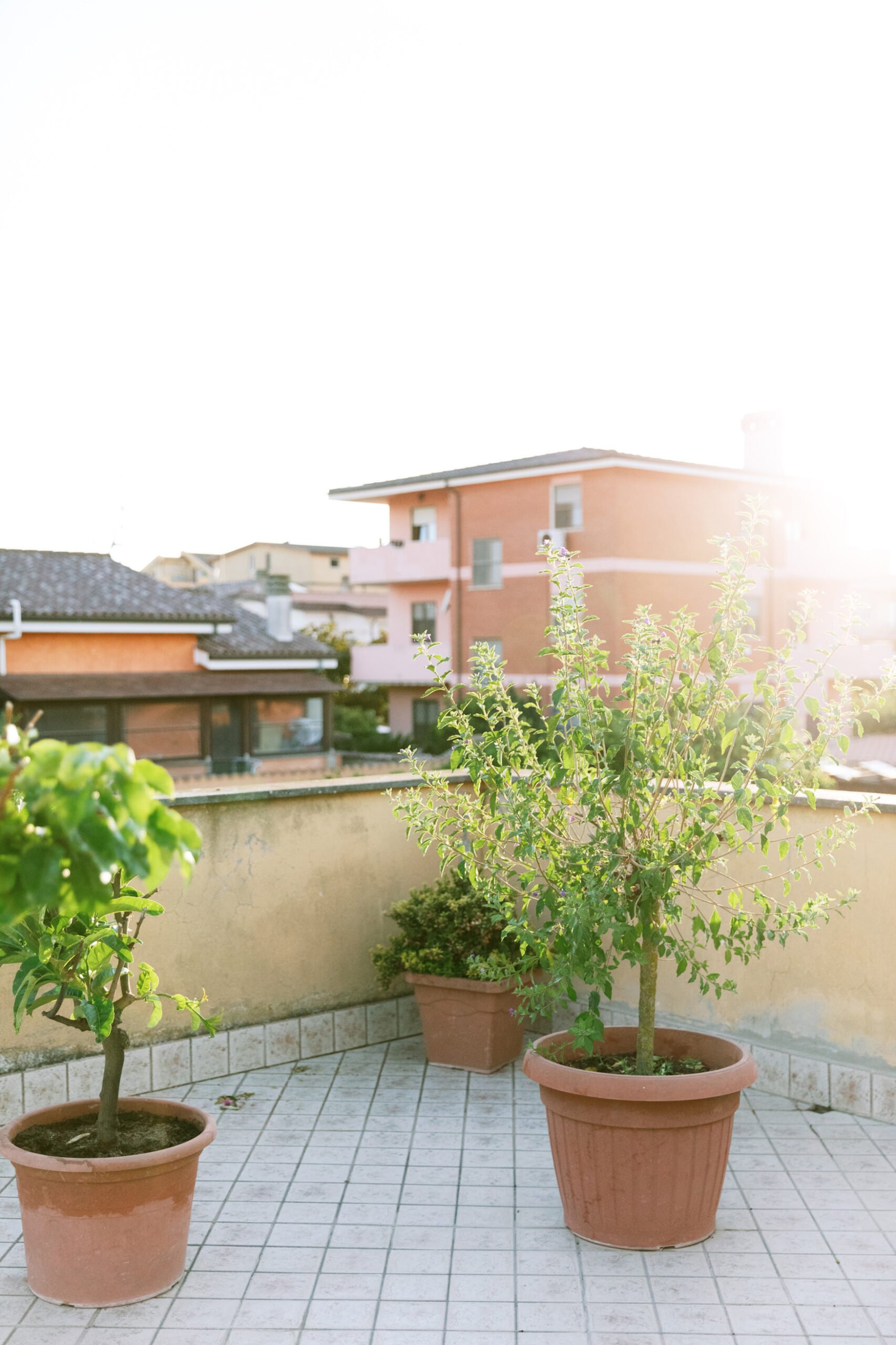 links + small things - The Small Things Blog