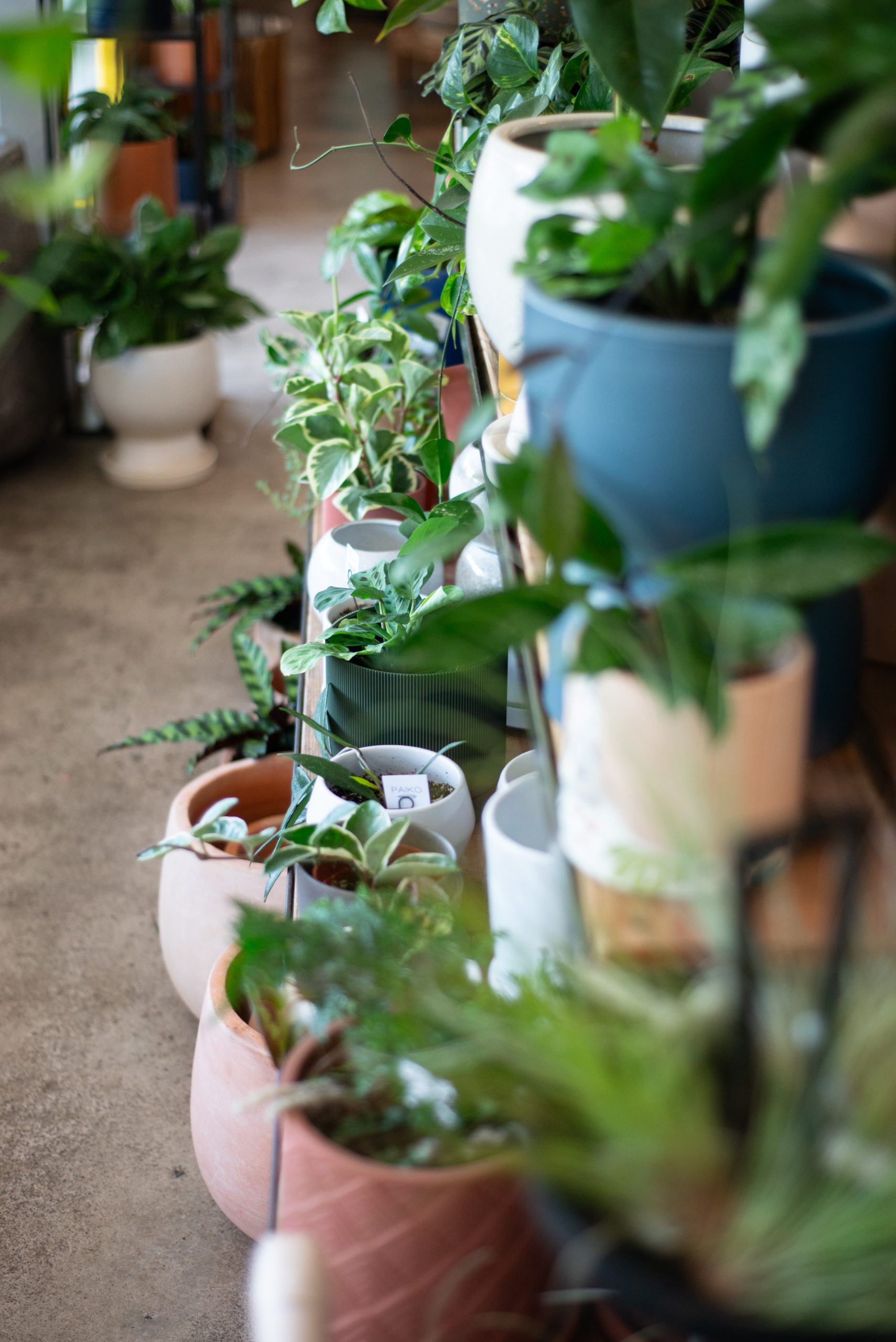 links + small things - The Small Things Blog