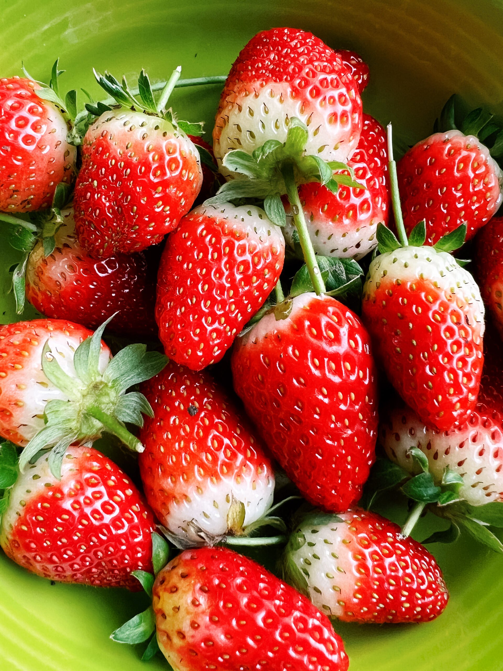 blog - The Small Things Blog