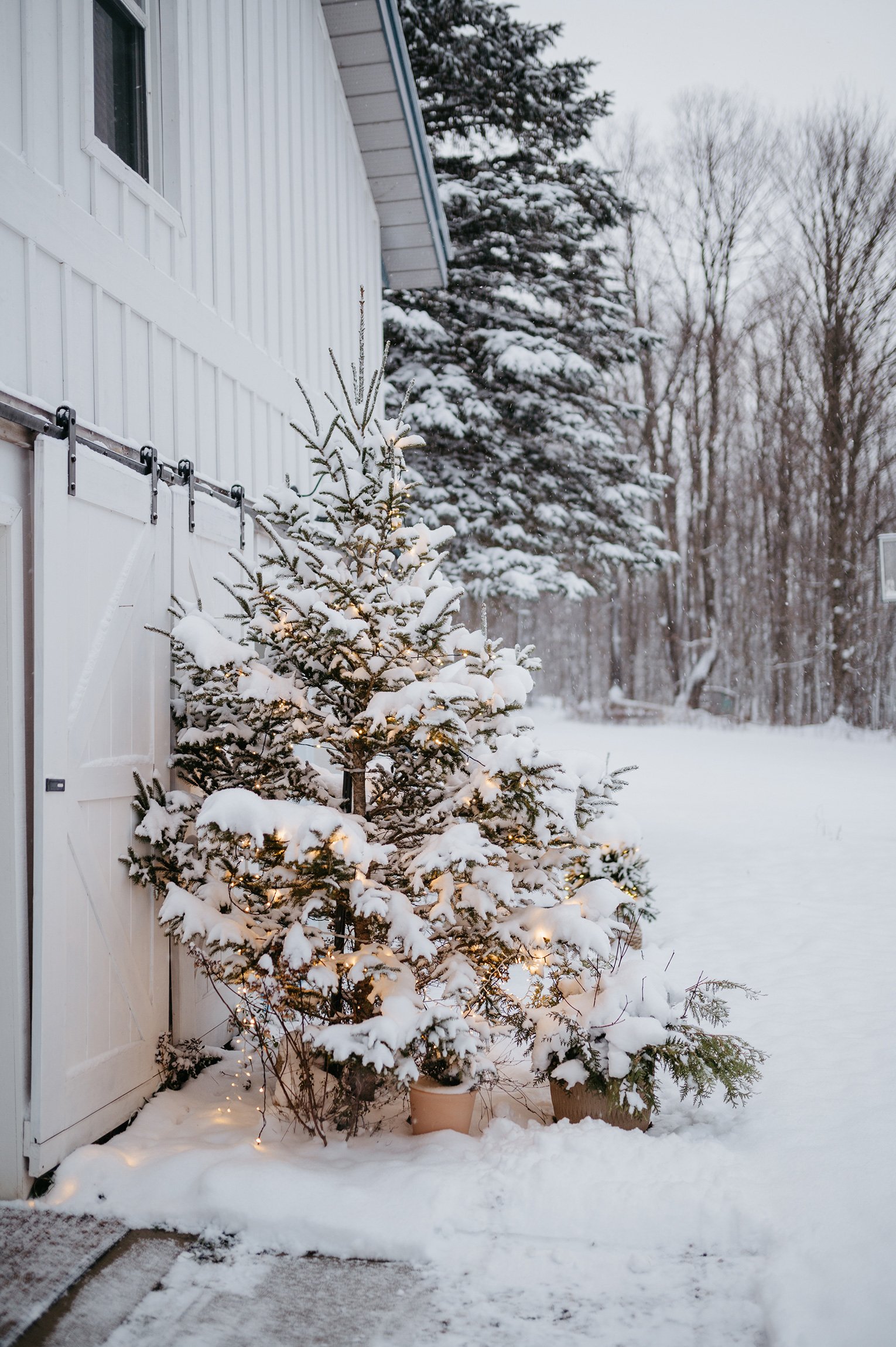 links + small things - The Small Things Blog