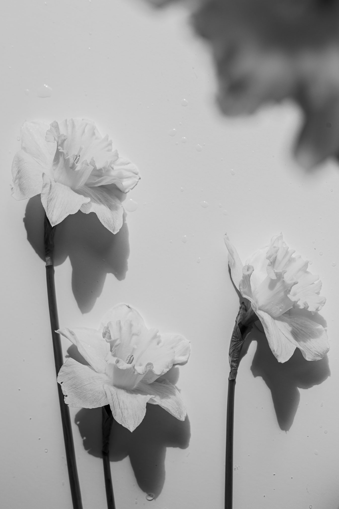 The Small Things Blog